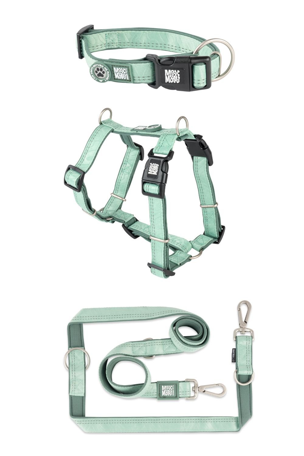 Jade – Max & Molly Urban Pets